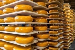 Visit Woerden | Explore Utrecht discovers Woerden - Onze stad, jouw ...